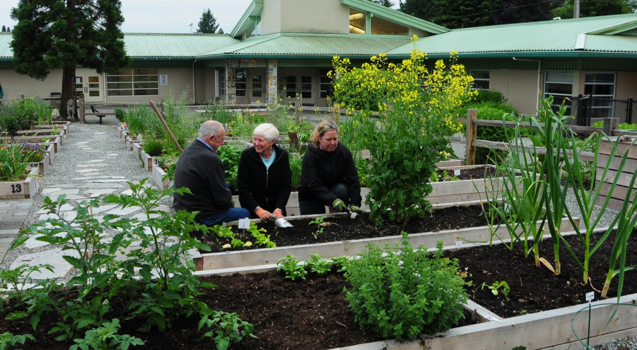 Creating sustainable food systems