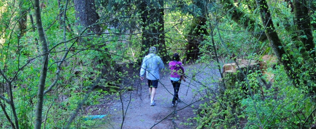 Invasive Plant Management Strategy