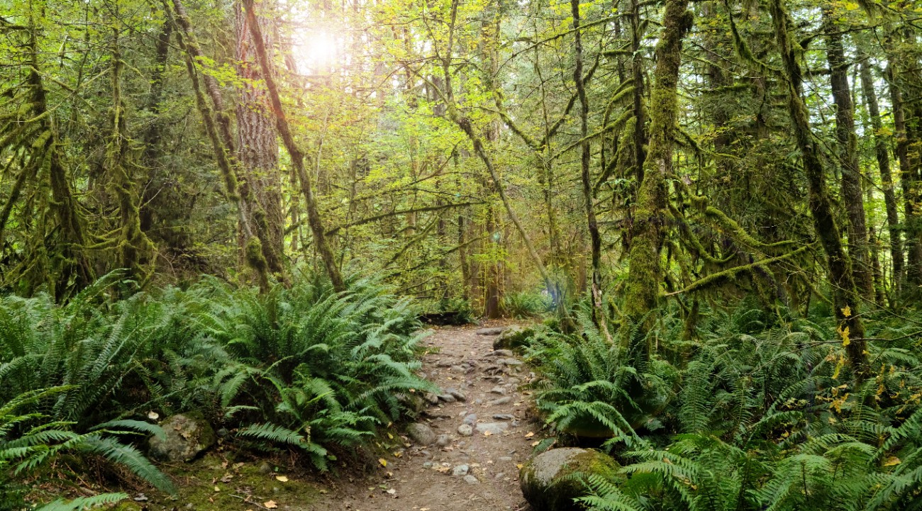 Natural Areas Trails Strategy